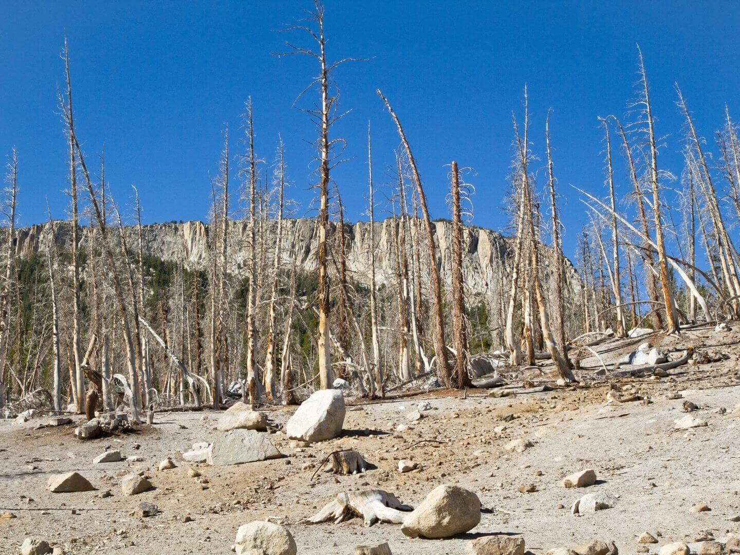 10 Best Things to do in Mammoth in the Summer