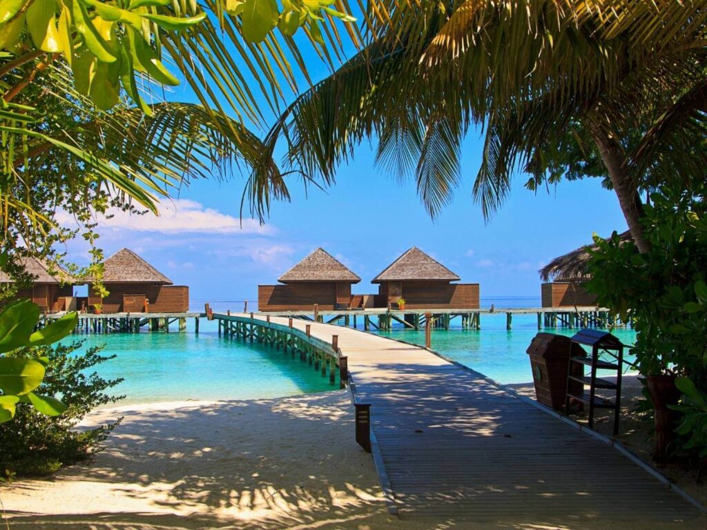Everything You Need To Know Before Visiting the Maldives | The Trav Nav